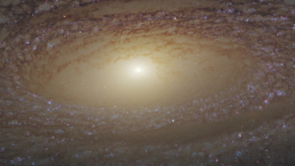 Hubble Shows New Image of Spiral Galaxy NGC 2841 | STScI