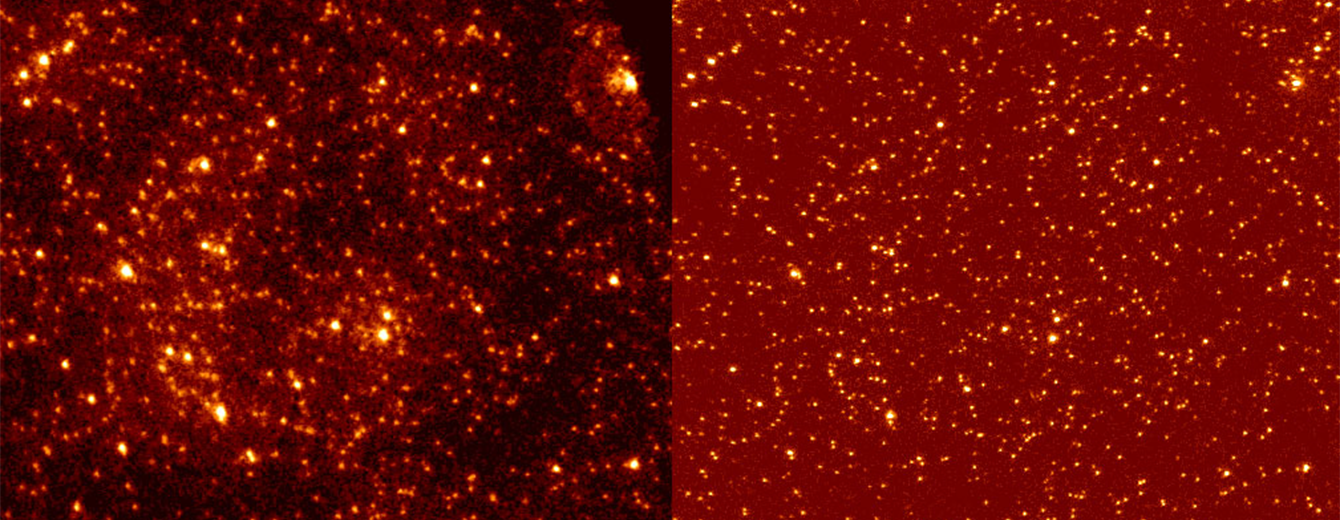 Hubble Uncovers Faint Stars in the Core of Globular Cluster | STScI