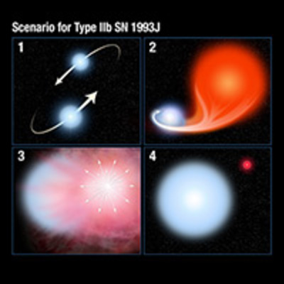Hubble Finds Companion Star Hidden for 21 Years in a Supernova's Glare ...