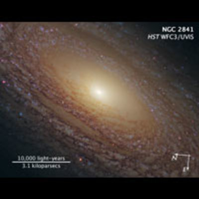 Hubble Shows New Image of Spiral Galaxy NGC 2841 | STScI