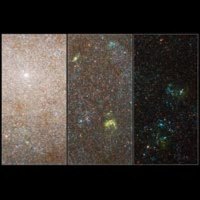 When It Comes to Galaxies, Diversity Is Everywhere | STScI