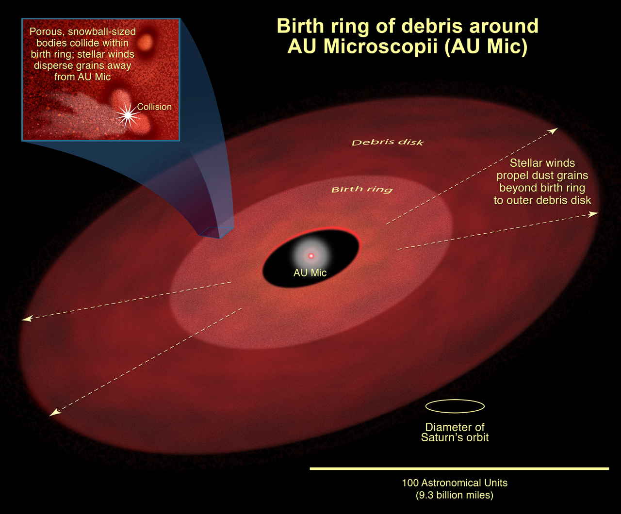 Birth Ring of Debris Around AU Microscopii (AU Mic) | HubbleSite