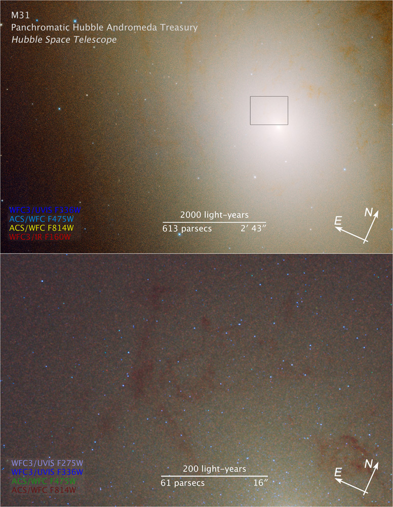 Compass and Scale Image of M31 | HubbleSite