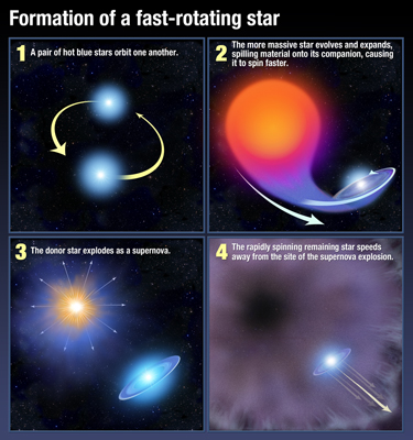 Formation of a Fast-Rotating Star | HubbleSite