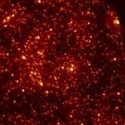 Hubble Uncovers Faint Stars in the Core of Globular Cluster | STScI