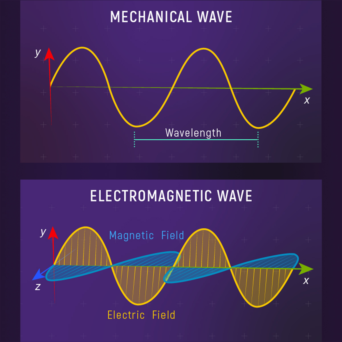 Teppich Gebogen Show Mechanical Waves Examples Schonen Leber Eigentum