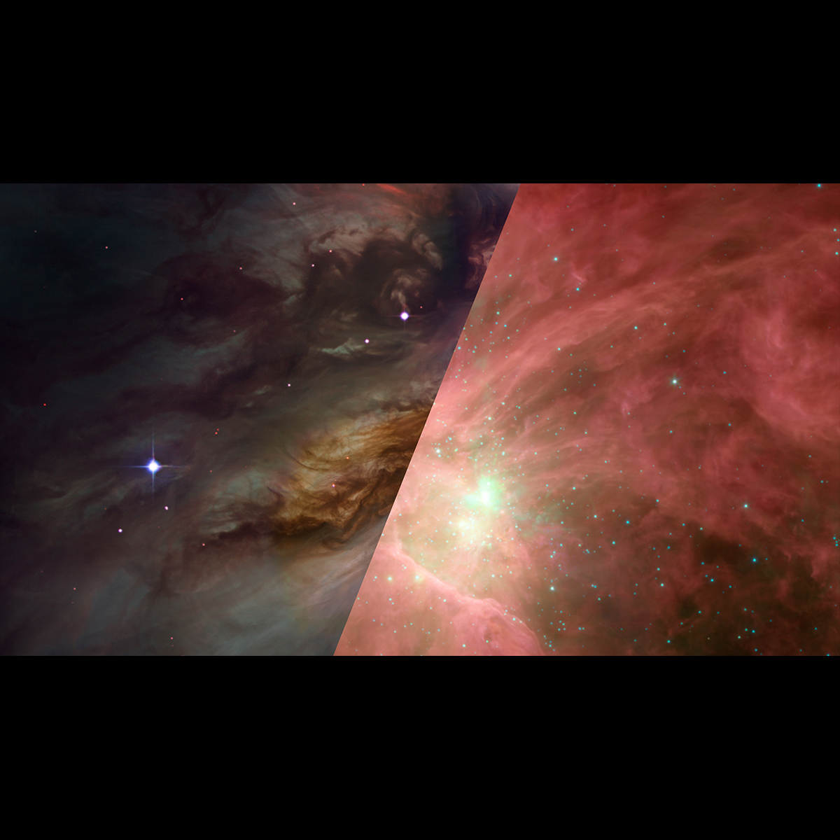 Orion Nebula 360 Video Orion Nebula Photos Made Easy