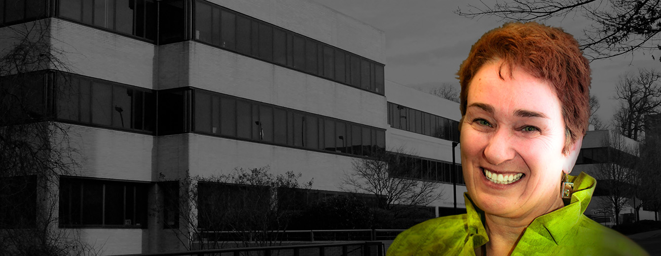 Dr. Kathryn Flanagan Appointed Deputy Director of STScI | STScI